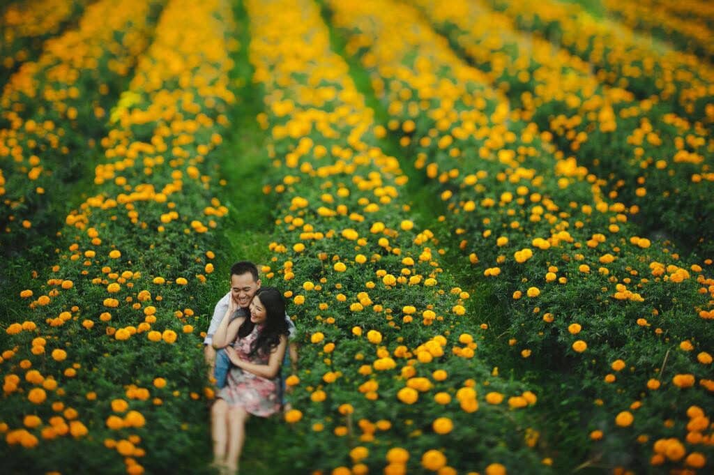 Berikut 4 Wisata Bunga di Bali » WaterSport Bali